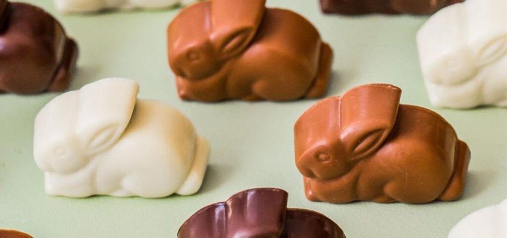 Things to do in Adelaide on the Easter Long Weekend - KIDDO Mag