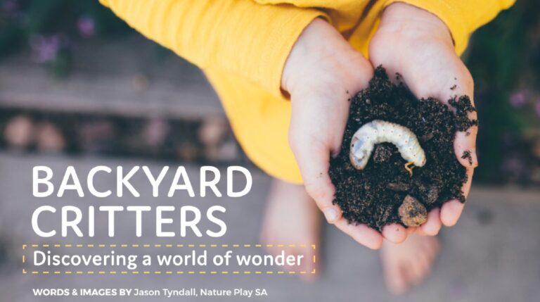 BACKYARD CRITTERS: DISCOVERING A WORLD OF WONDER - KIDDO Mag
