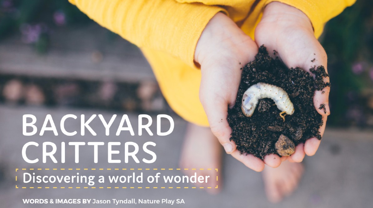 BACKYARD CRITTERS: DISCOVERING A WORLD OF WONDER - KIDDO Mag