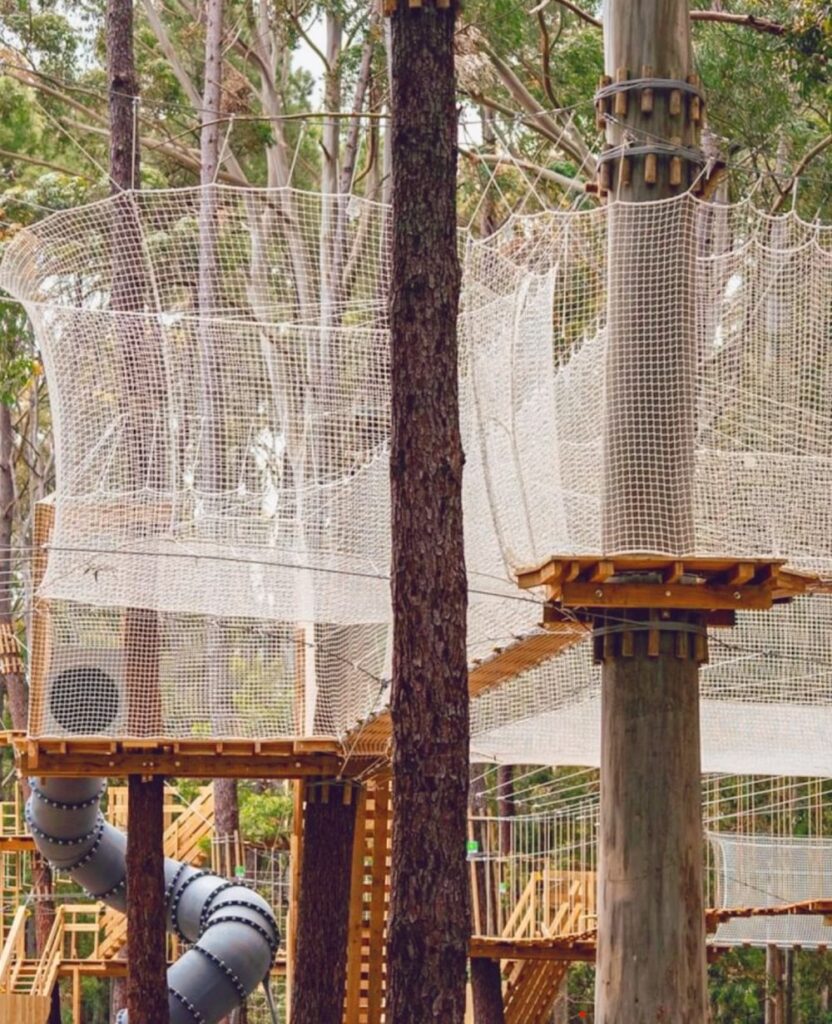 TreeClimb Kuitpo | New Location, New Adventure - KIDDO Mag