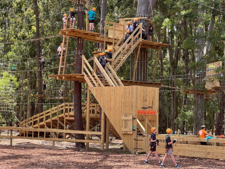 TreeClimb Kuitpo | New Location, New Adventure - KIDDO Mag