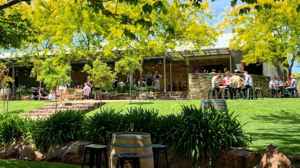 Best family friendly wineries in Adelaide - KIDDO Mag