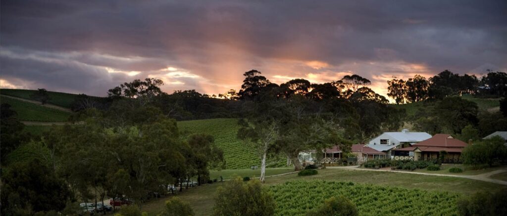 Best family friendly wineries in Adelaide - KIDDO Mag
