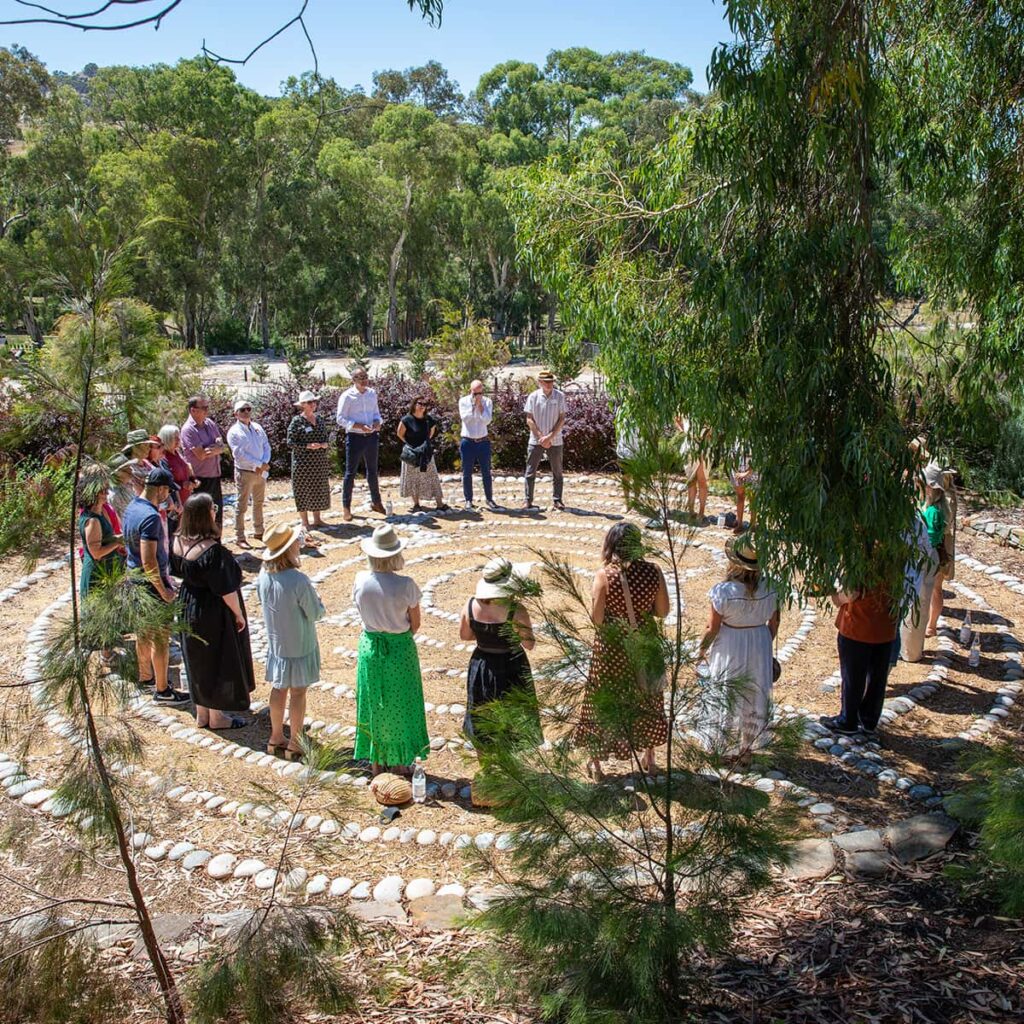 Wellness Wander | KIDDO Mag