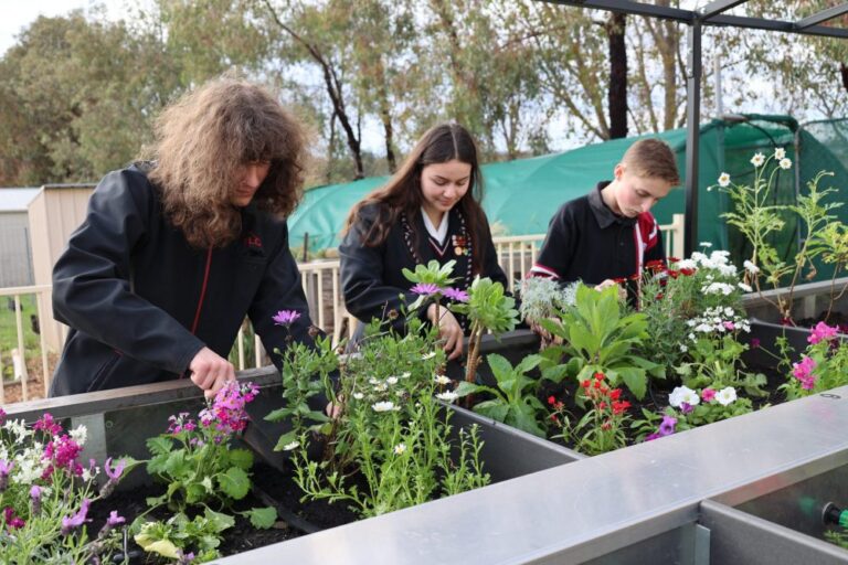 iFarm at Tatachilla plants the seeds for trailblazing STEM careers ...