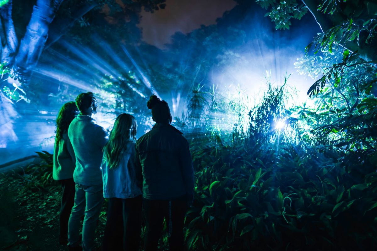 In the Illuminate Adelaide spotlight: Night Visions - KIDDO Mag