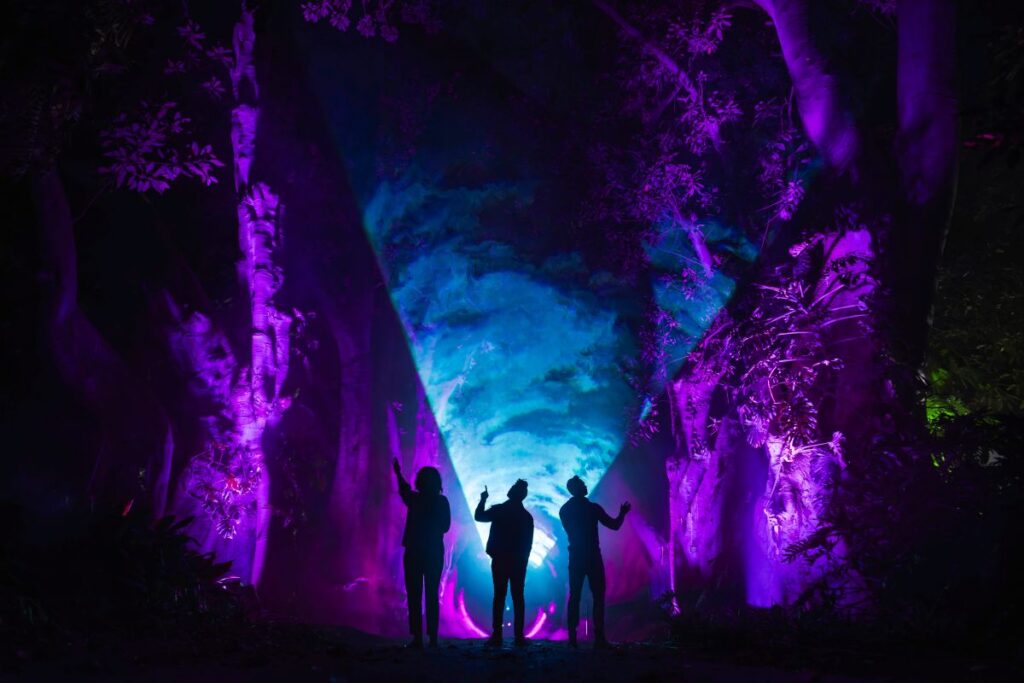 In the Illuminate Adelaide spotlight: Night Visions - KIDDO Mag